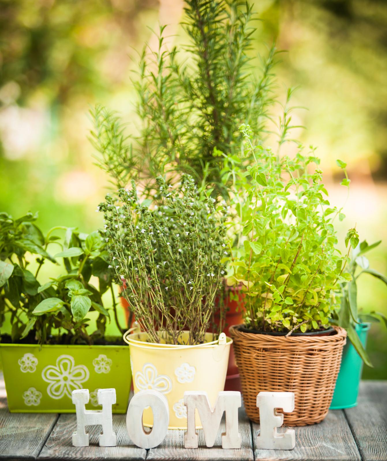 Muurtje voortuin: structureel element met charme - Roffabriek